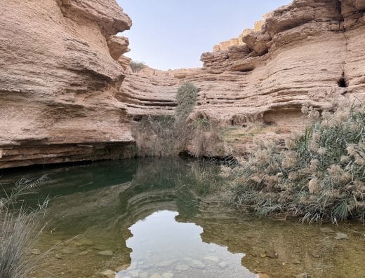 NOX CAMP / مخيم نوكس - Wow In Saudi